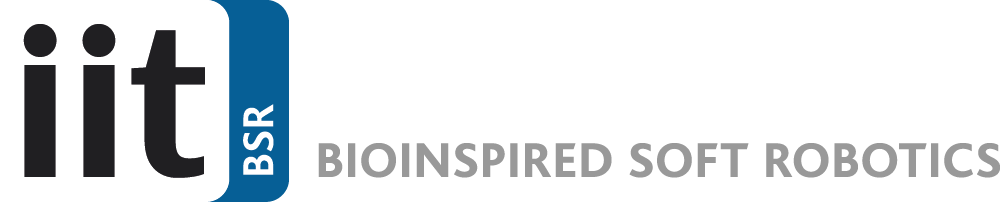 People - Bioinspired Soft Robotics - IIT